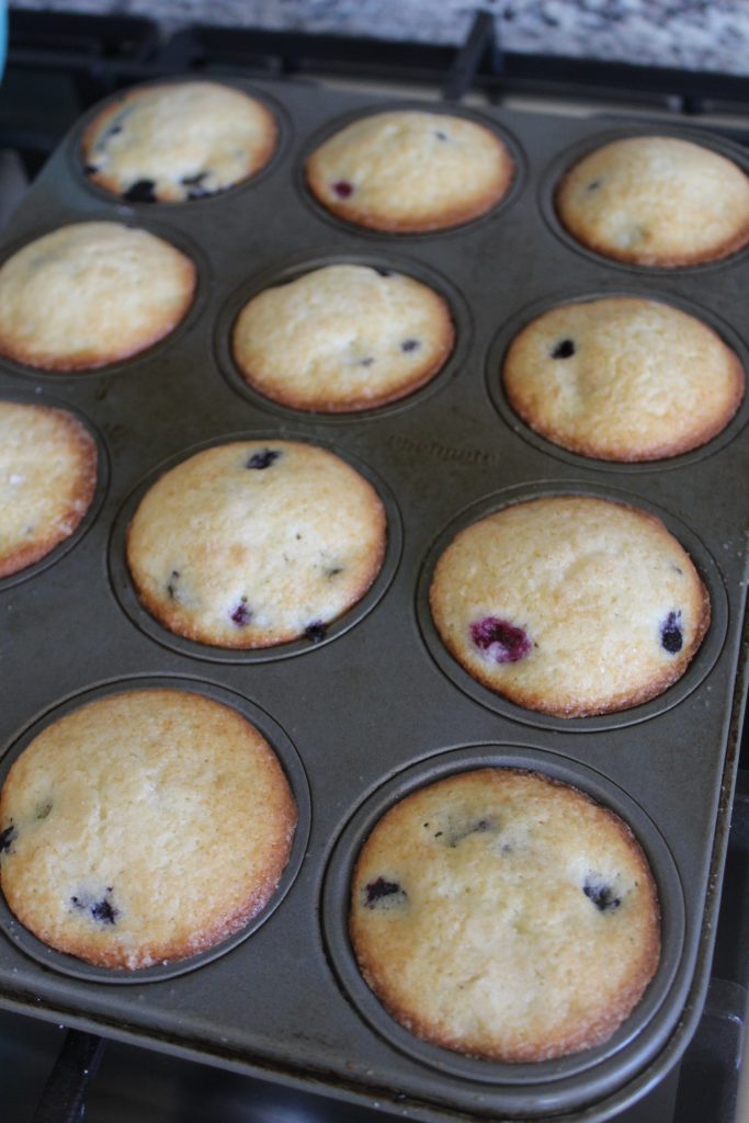 Homemade Blueberry Muffins
